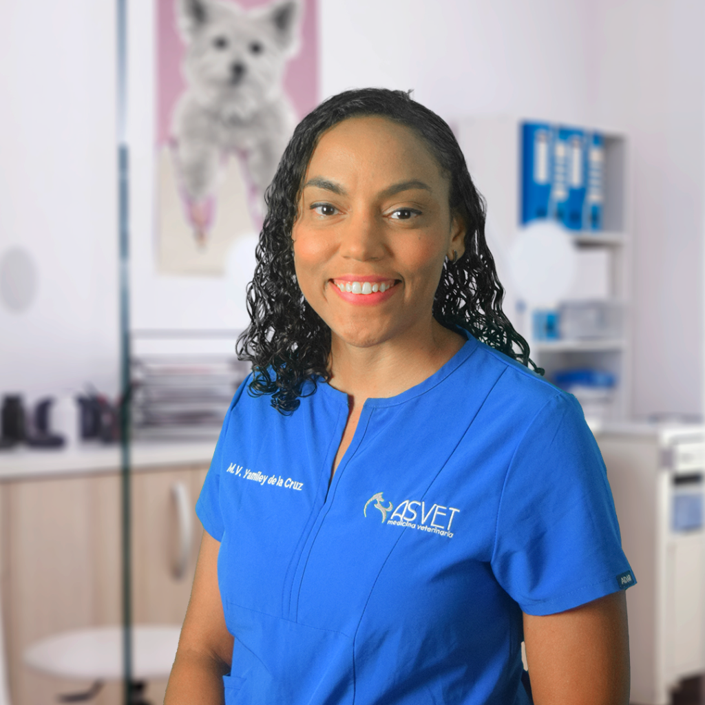 Homepage - ASVET - Clínica veterinaria Santo Domingo Este